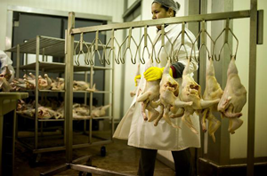 What is Halal? | Halal Certification | Halal Meat | Halal Monitoring ...